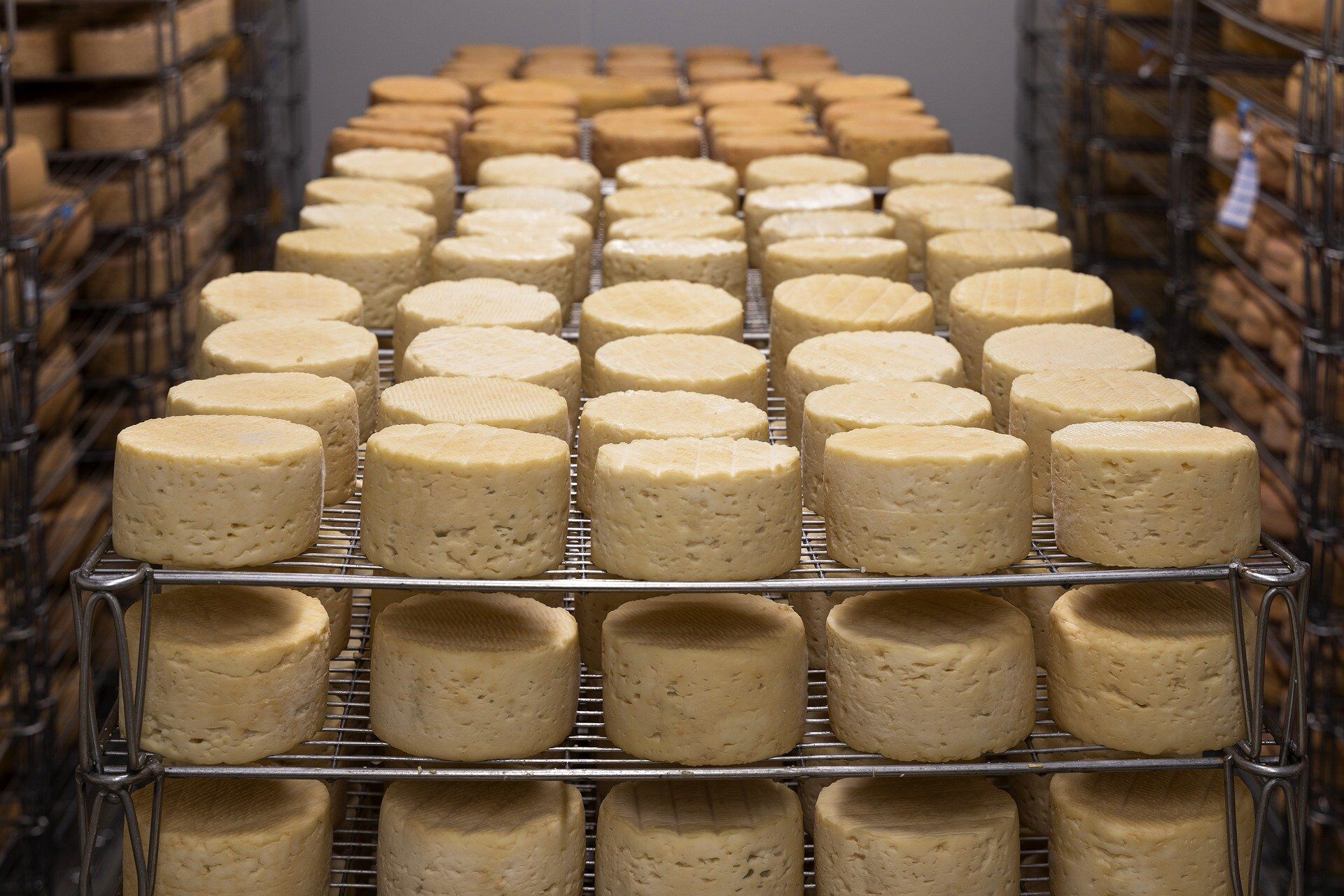Food Safety Regulations UK UK Online Training